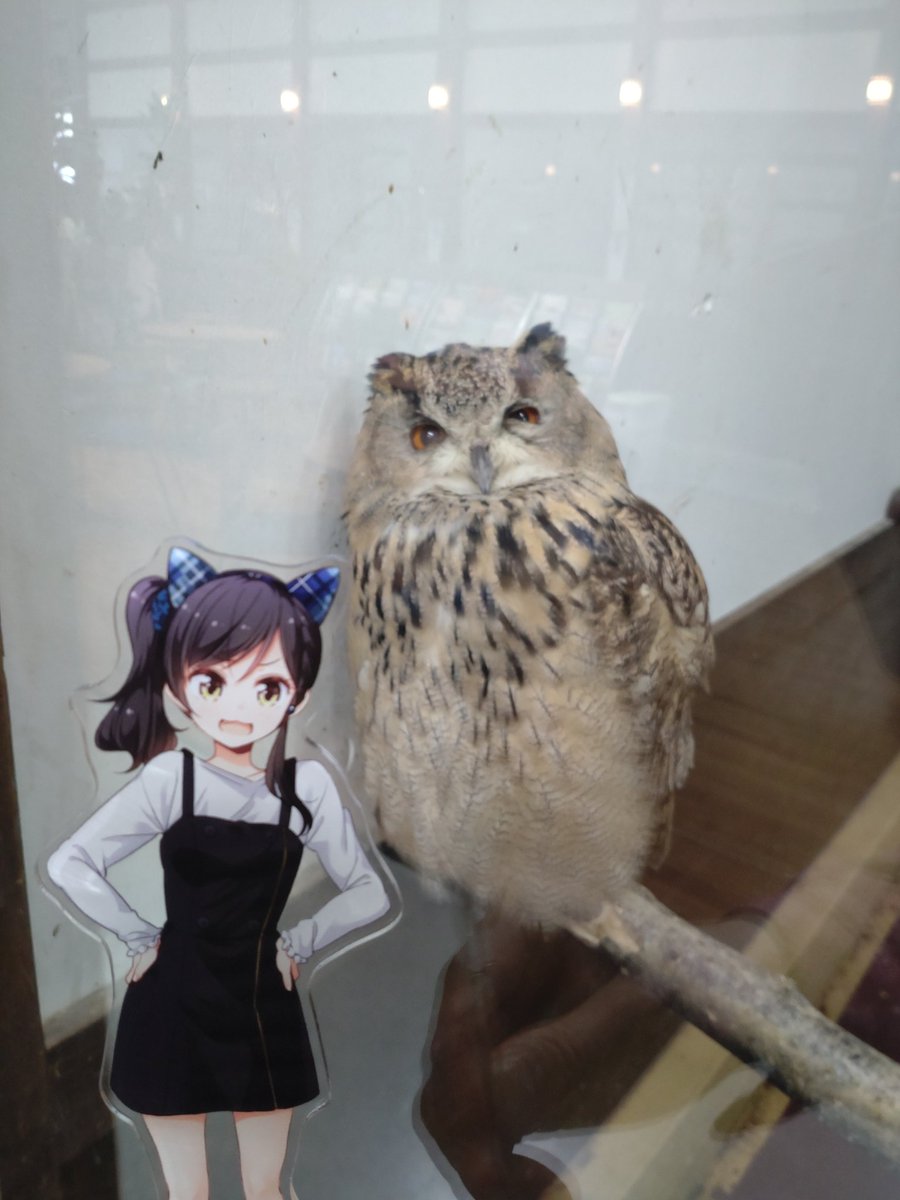 ちりも(@crm_tndrs) - Twilog (ツイログ)