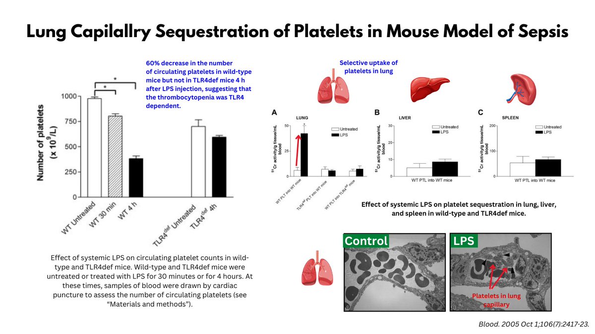 1/3 THROMBOCYTOPENIA (TP) IN SEPSIS 1. Thrombocytopenia occurs in about ...