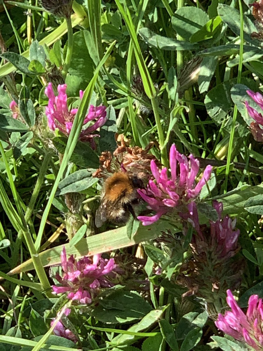 Refill Wales - Move More Eat Well