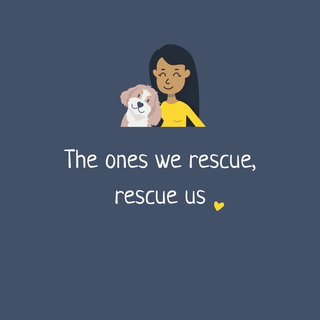 Dog Rescuer Quotes Multicolor Dog Rescue Adoption Promotional Event