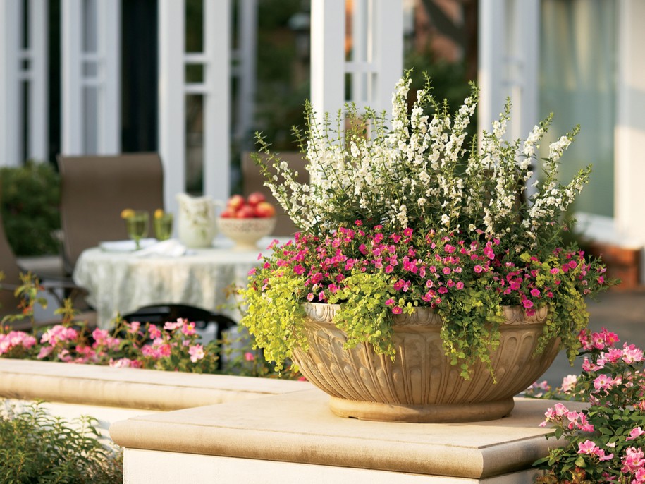 Proven Winners Container Recipes