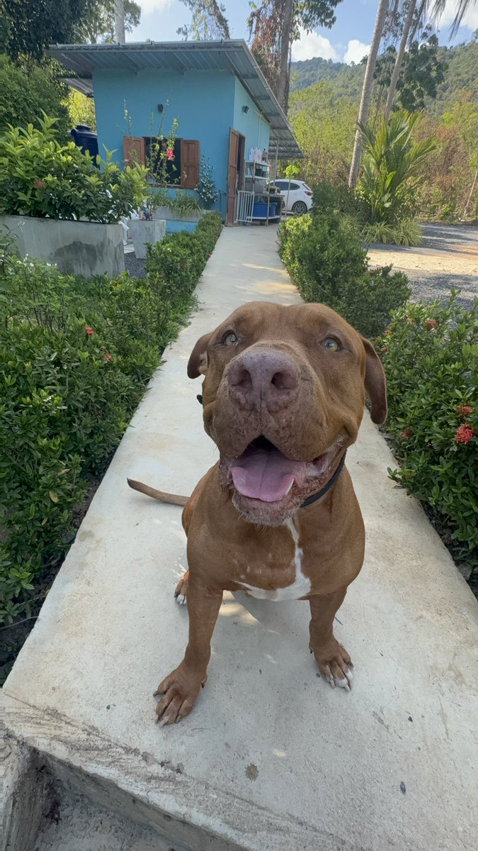 Niall Harbison's Threads – Thread Reader App