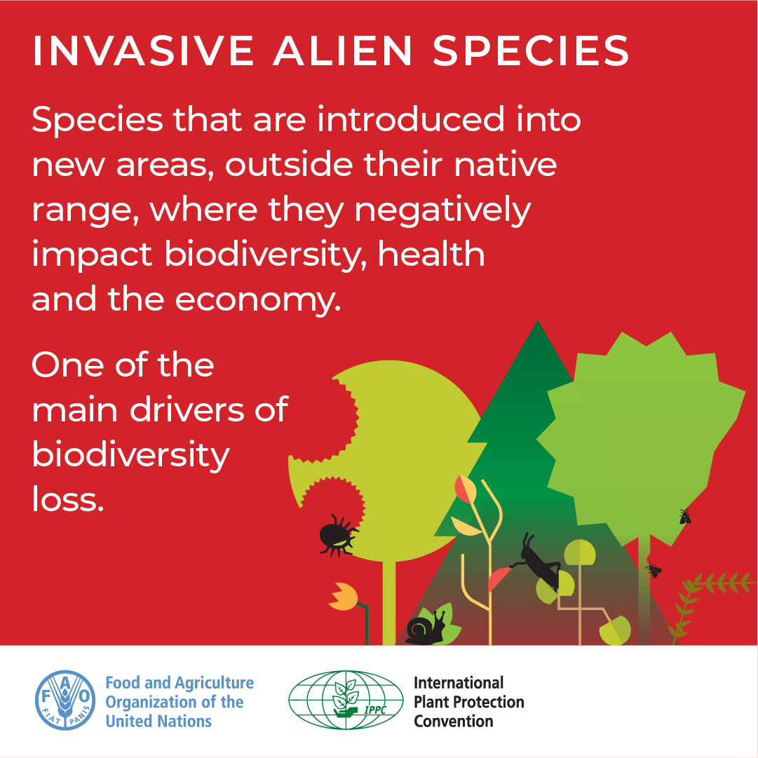 Invasive Alien Species Impact On Biodiversity