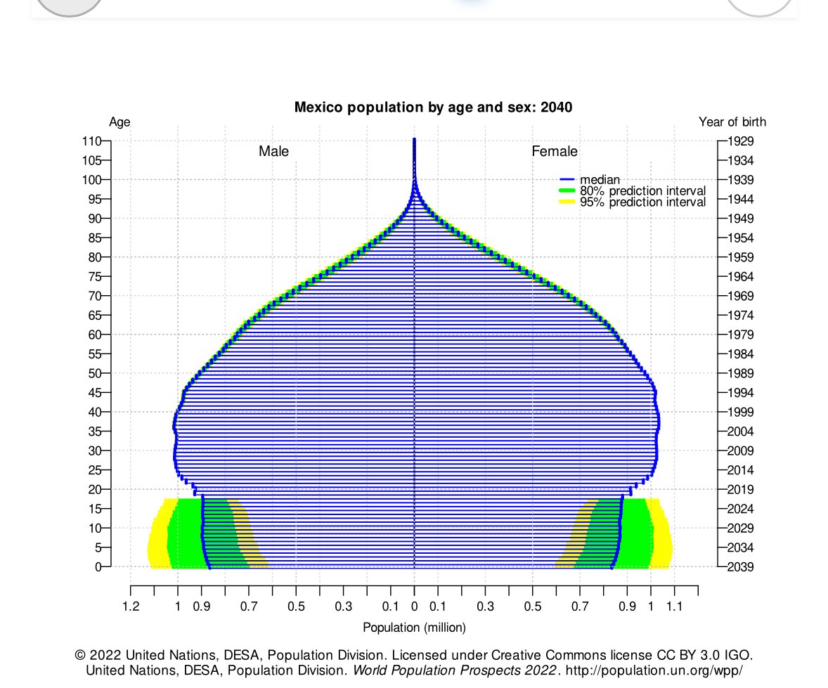 Mexico Population Pyramid 2030
