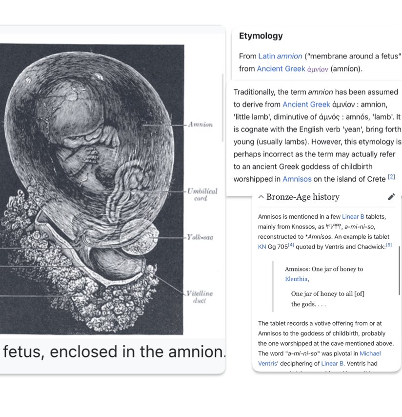 🤯 The true River Lethe?🤔🤔 Amniotic fluid. Amnesia. Your memory becoming ...