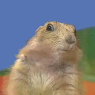 Dramatic Chipmunk Hd The Best Dramatic Chipmunk Memes :) Memedroid