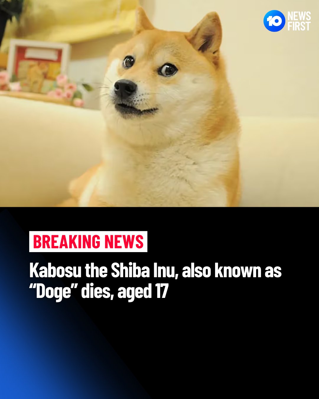 Original Doge Meme Face