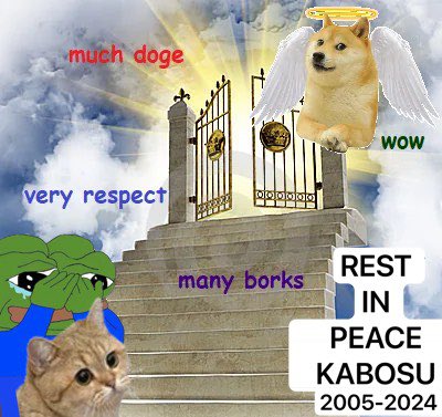 Starecat Doge Why Does My Cat Always Look So Angry? : R/cats