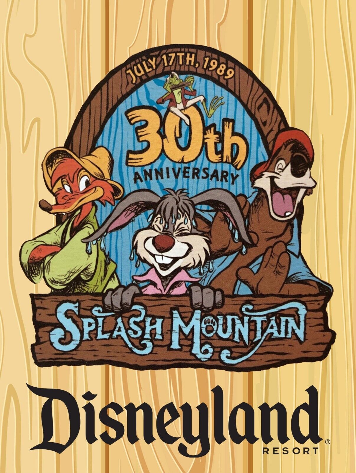 Splash Mountain Poster