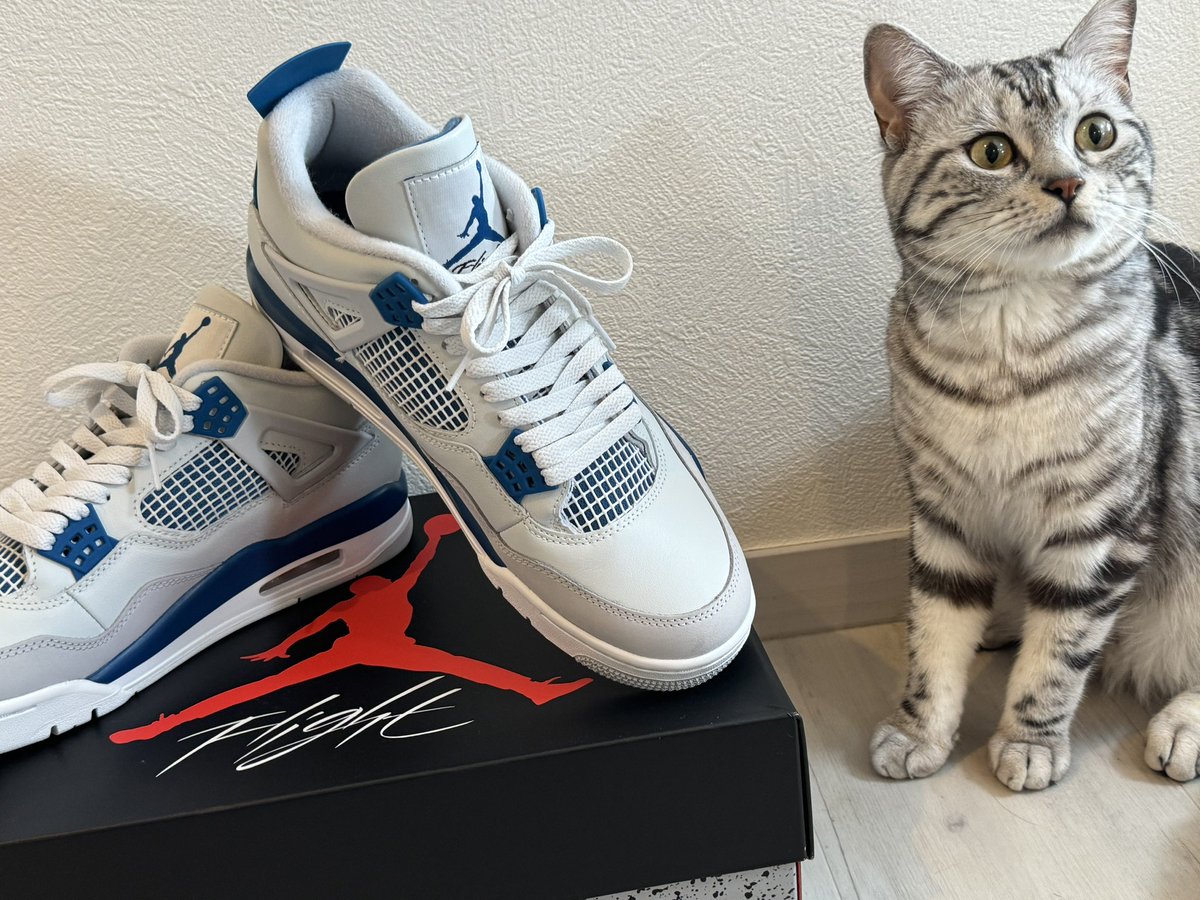 3太(@3_kgmr) - Twilog (ツイログ)