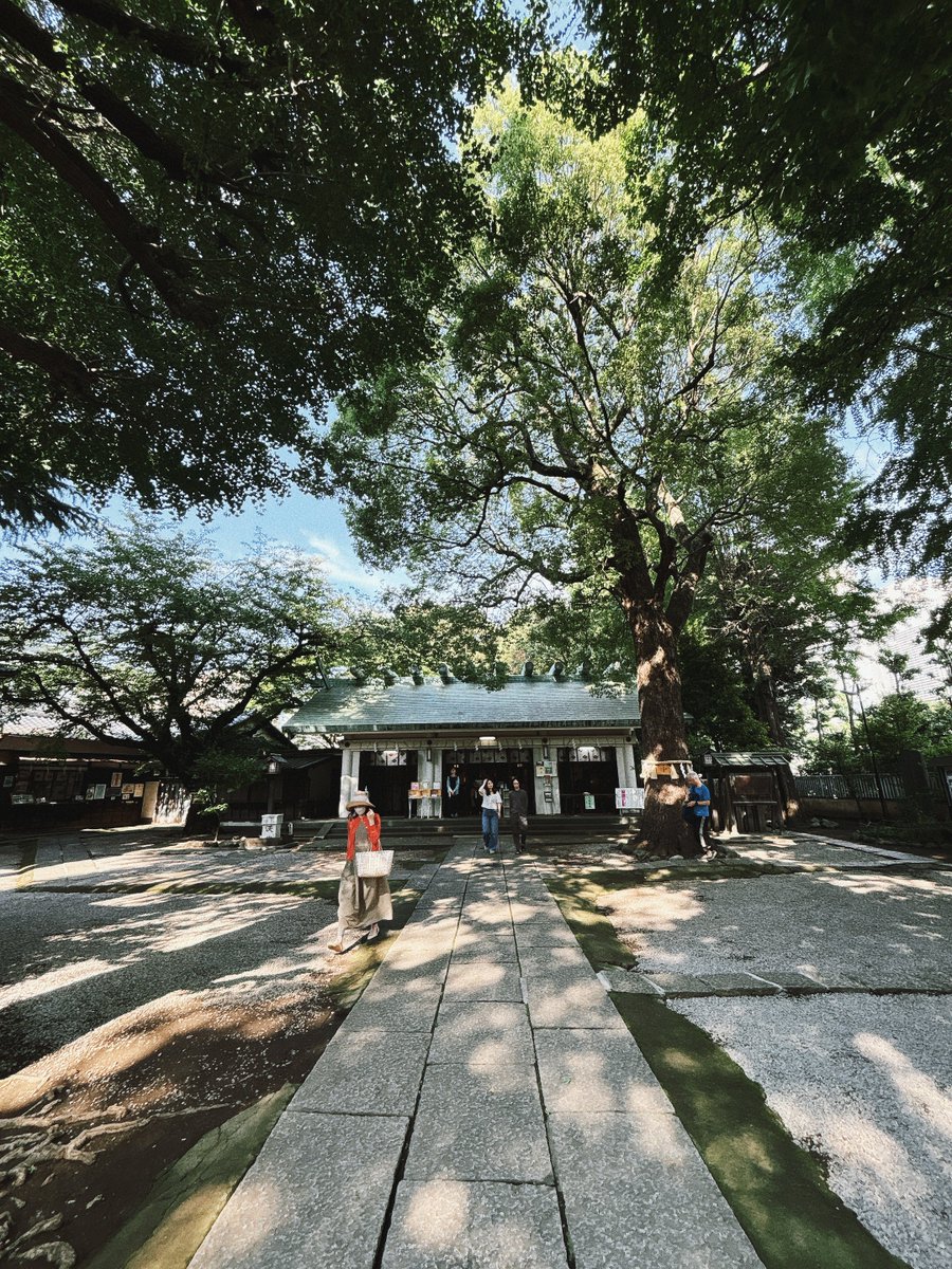 アキラ☘️(@TN_matuko_) - Twilog (ツイログ)