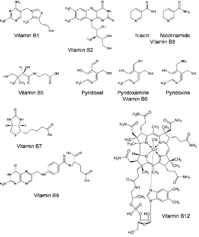 We know that B vitamins are very important ─ so remember that any ...