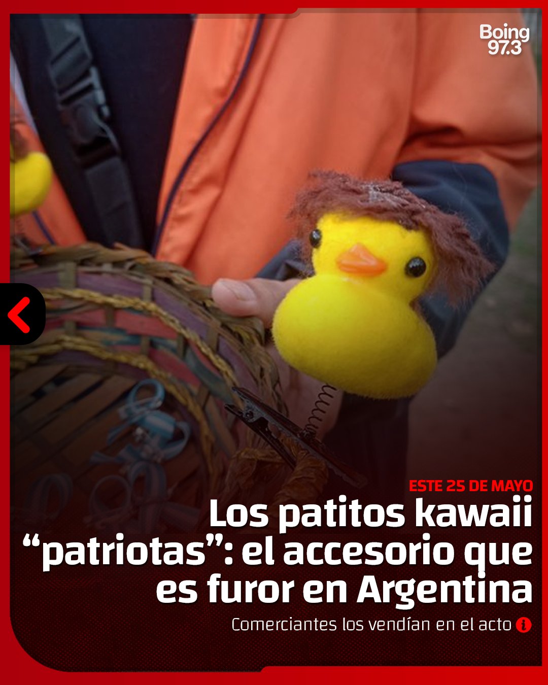 Memes D Patitos 15 Ideas De Patitos Cool | Fotografías Divertidas De
