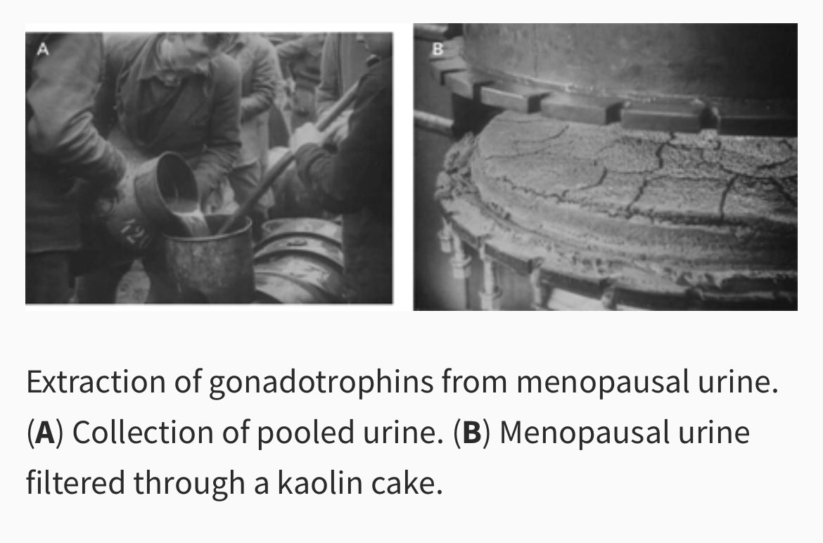 ¿Pueden unas monjas jubiladas estar detrás de los tratamientos de ...