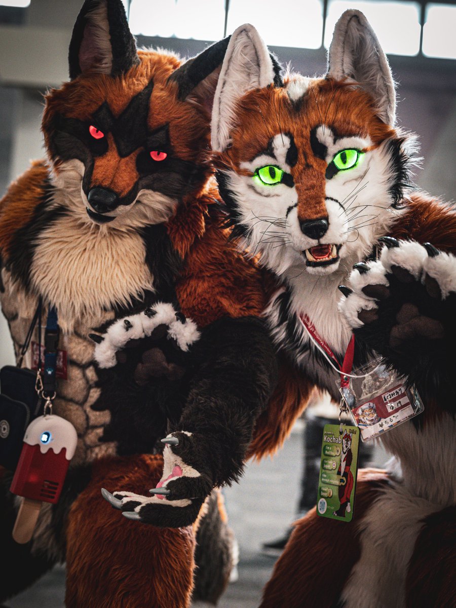 仔狐饂飩🦊🍜(@fox_cub_noodle) - Twilog (ツイログ)