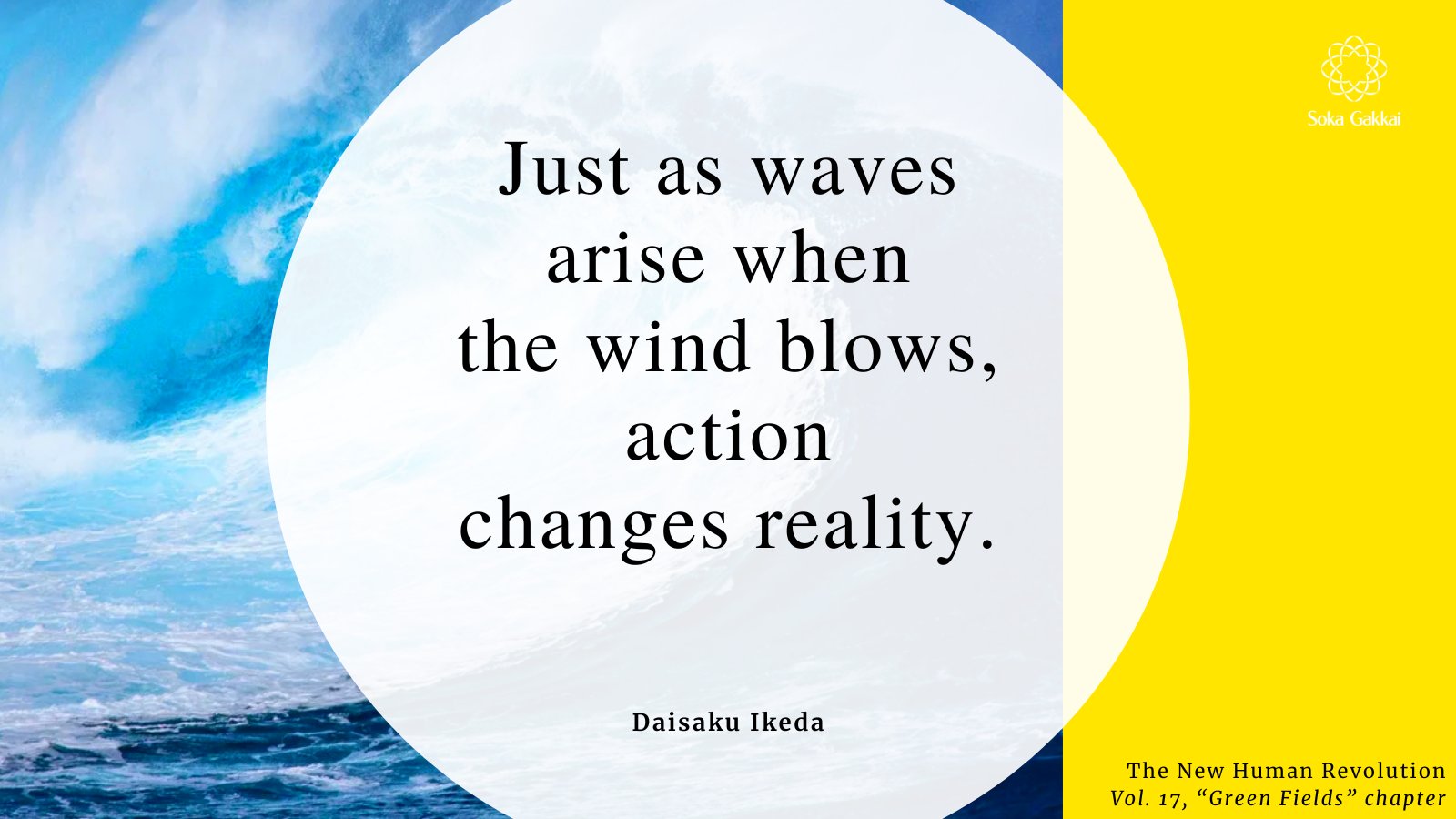 The Wind Quotes The Shadow Of The Wind Quotes By Carlos Ruiz Zafón