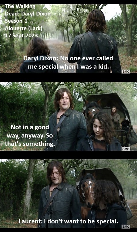 Das Walking Dead Meme Daryl