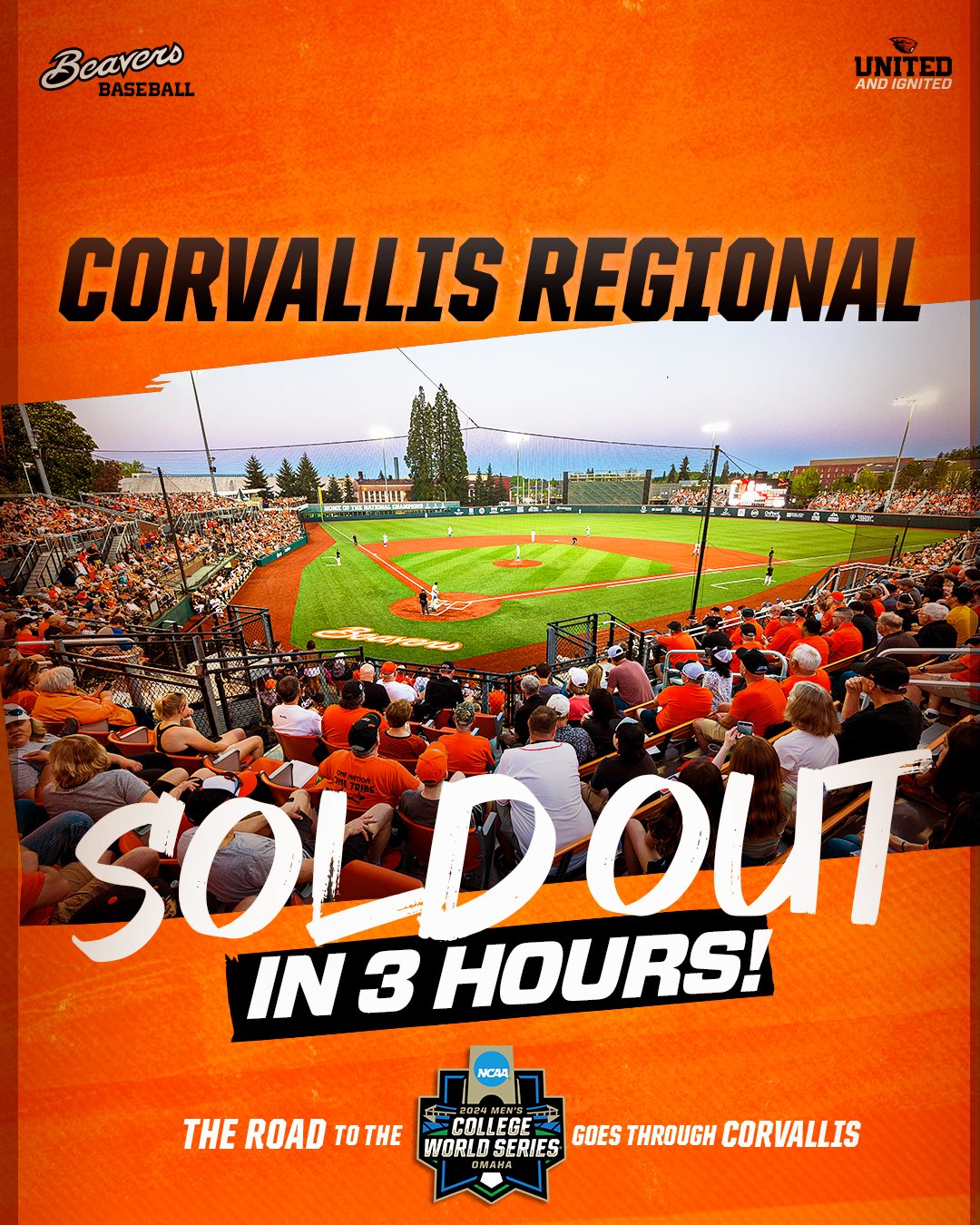 Oregon State Baseball Wallpaper Oregon State Football Press