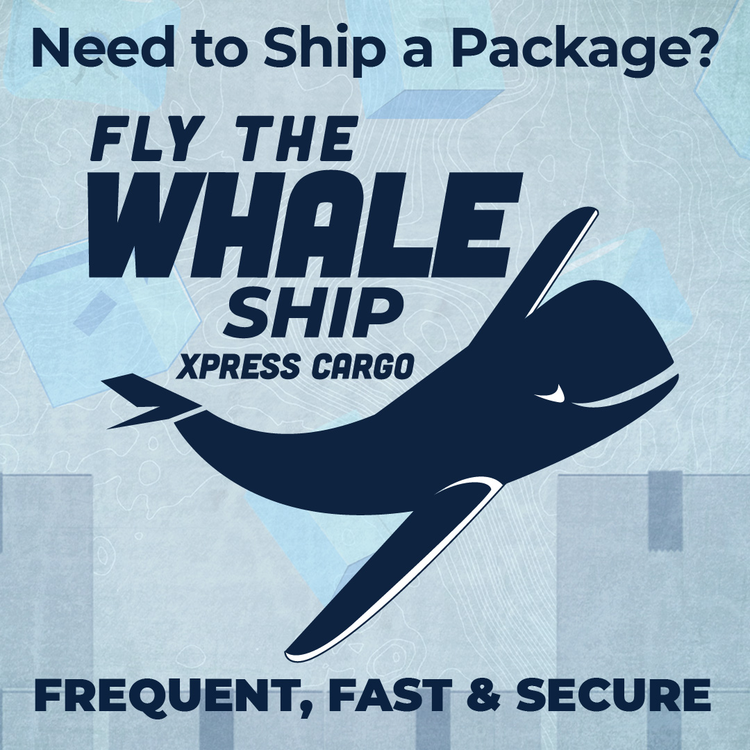 Secure Islands Logo Cloud Video Surveillance | Eagle Eye Networks