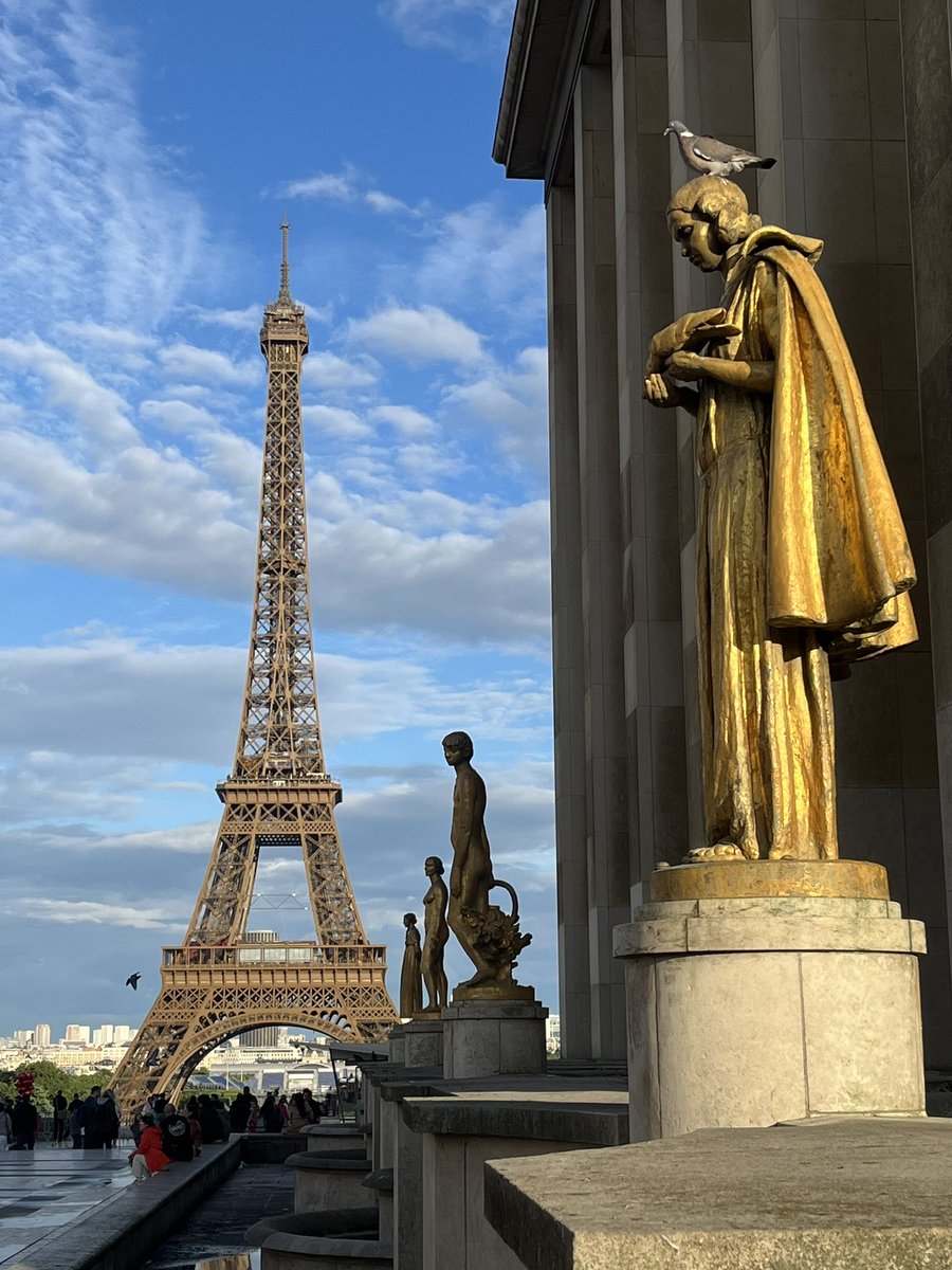 Sedron Technologies - Peter Fisk