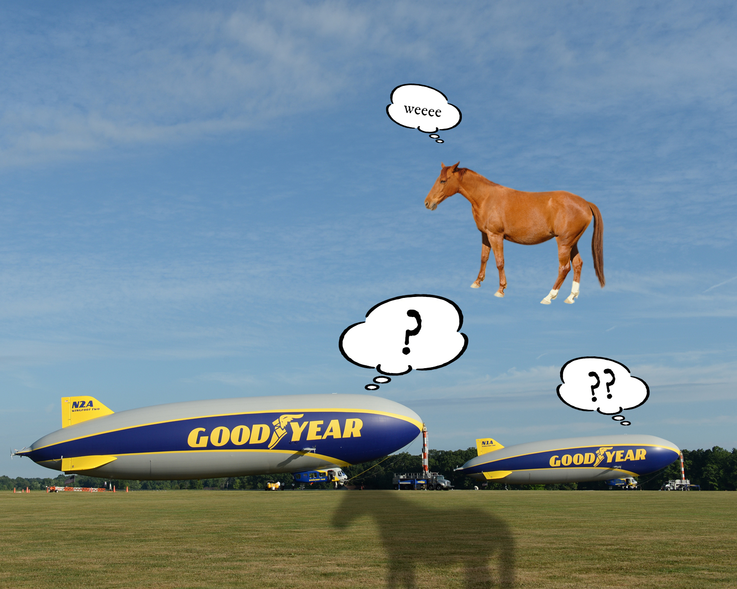 Apg Blimp Memes Coughs* Luckily It Didn't Blow Up Like The Hindenburg