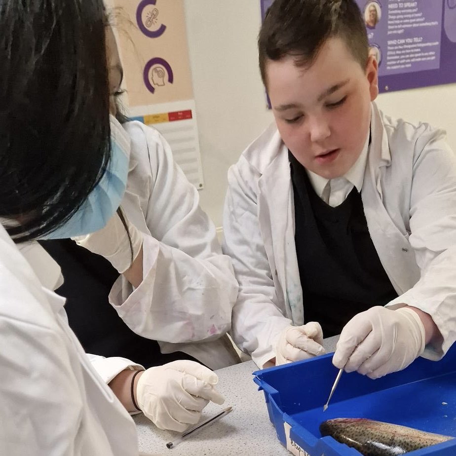 Homepage - The Whitley AP Academy (TWAPA)