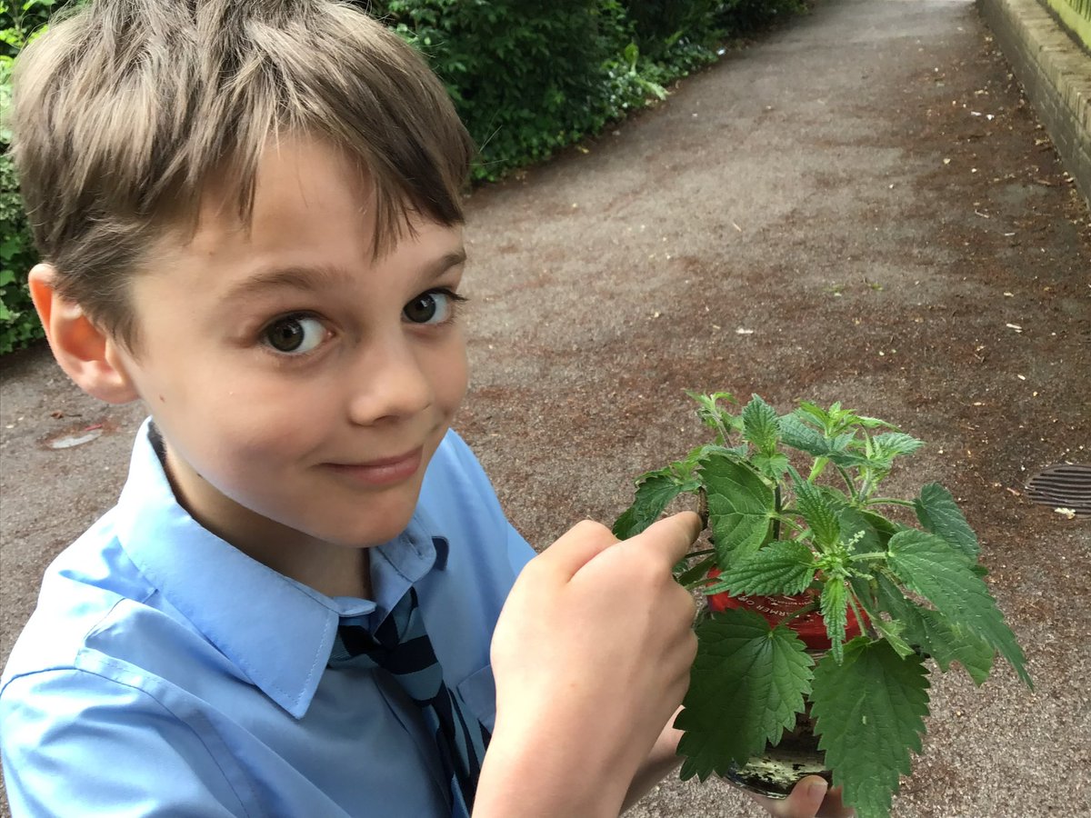 Briscoe Primary School and Nursery