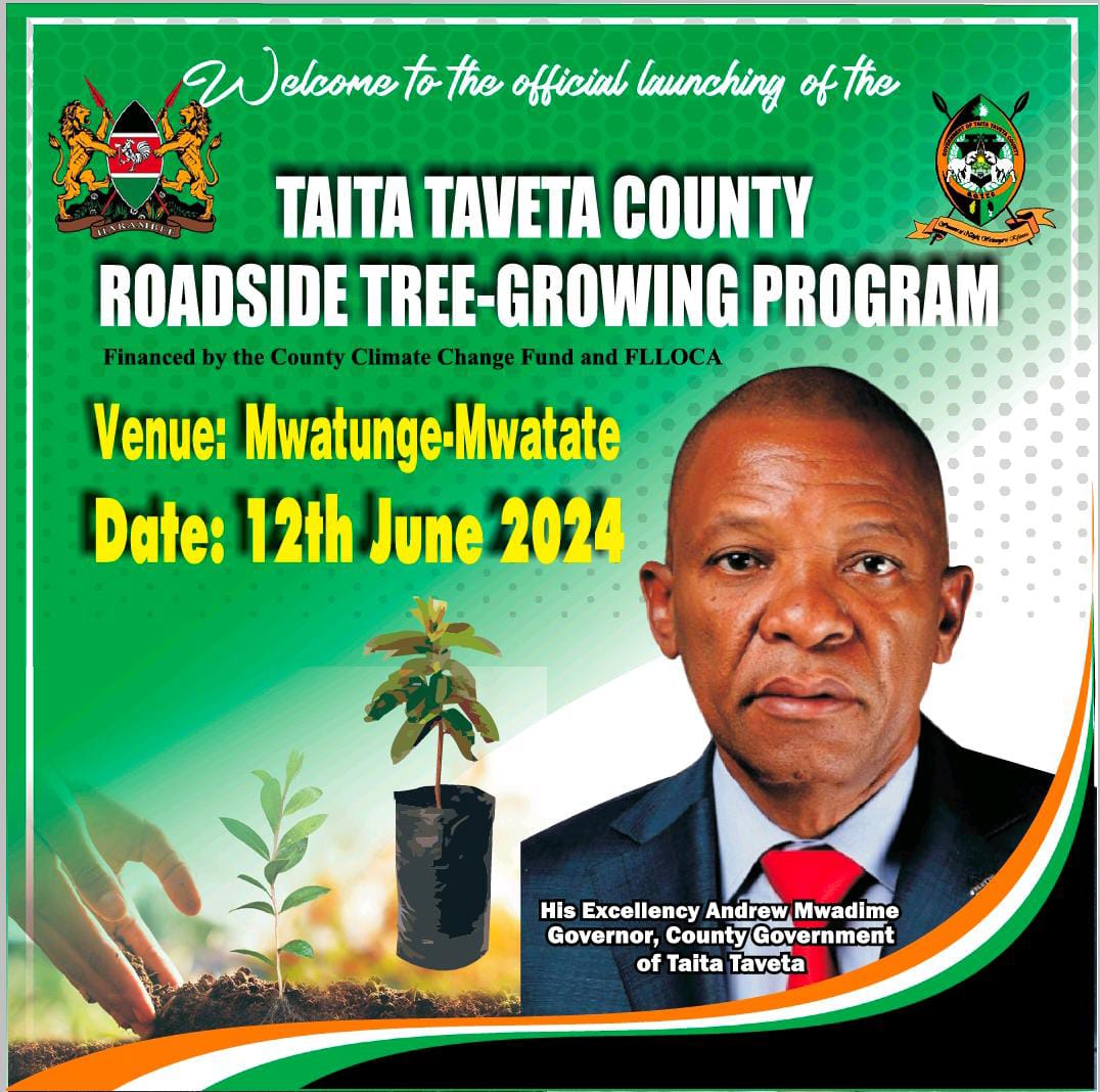 Taita Taveta County Logo 12 Things To Do In Taita Taveta County For