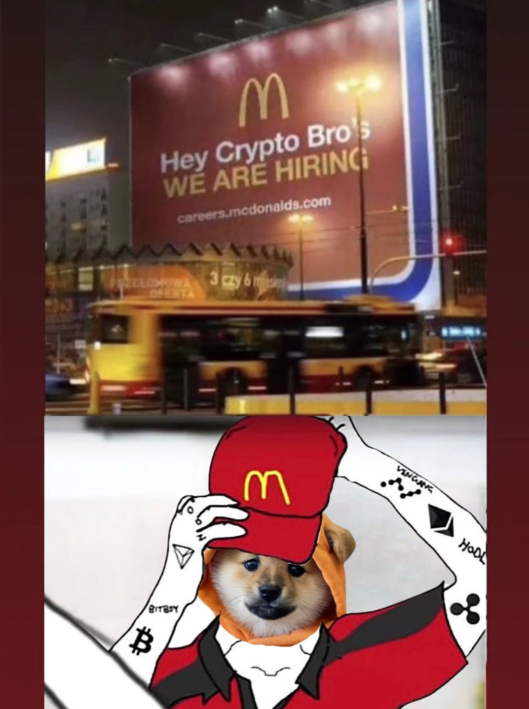 Welcome Back Dog Meme 15 Pets Anxiously Waiting For You To Come Back