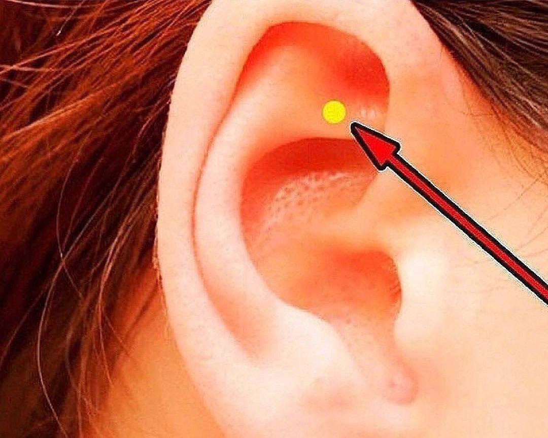 A point in the ear from all diseases ⠀ 👂🏻 This point is located in the ...
