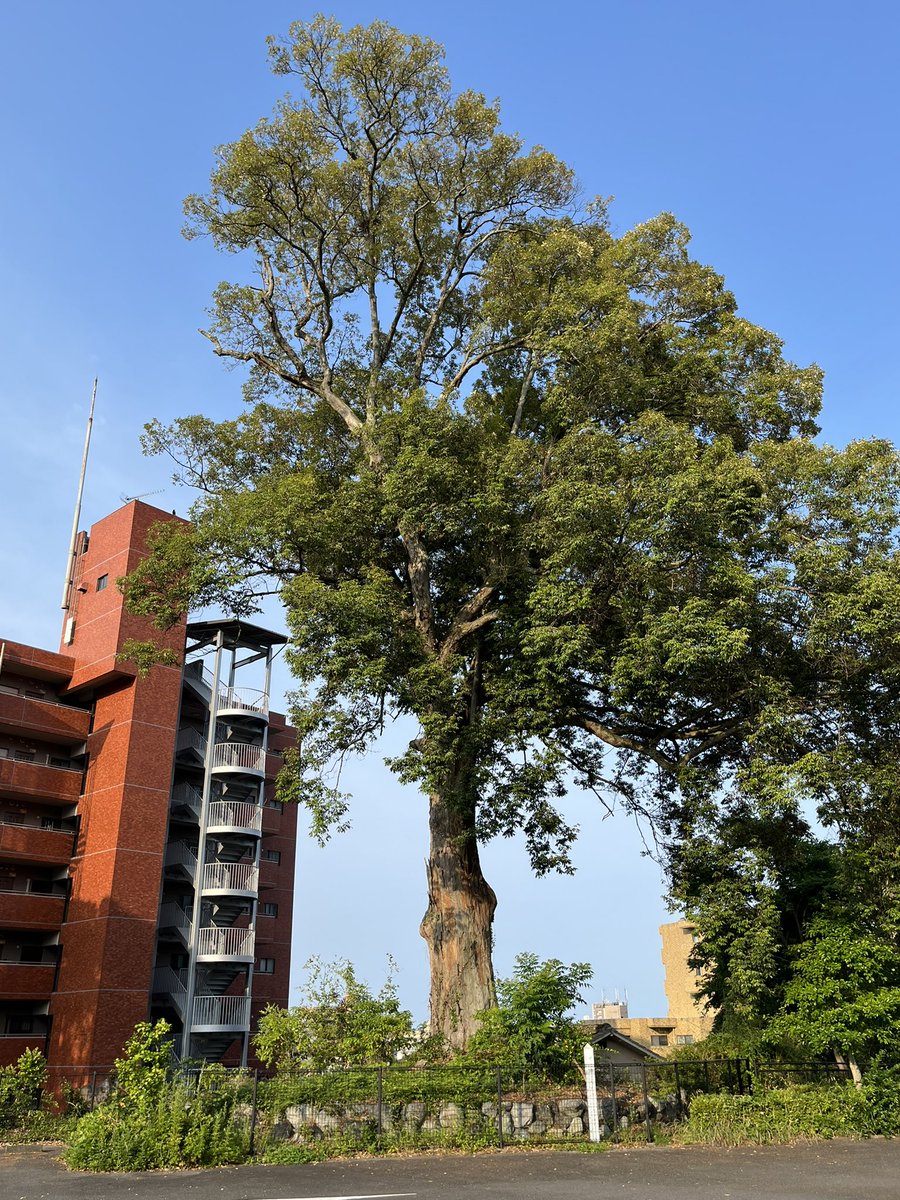 Minaka Nobuhiro 〈みなか食堂〉店主(@leeswijzer) - Twilog (ツイログ)