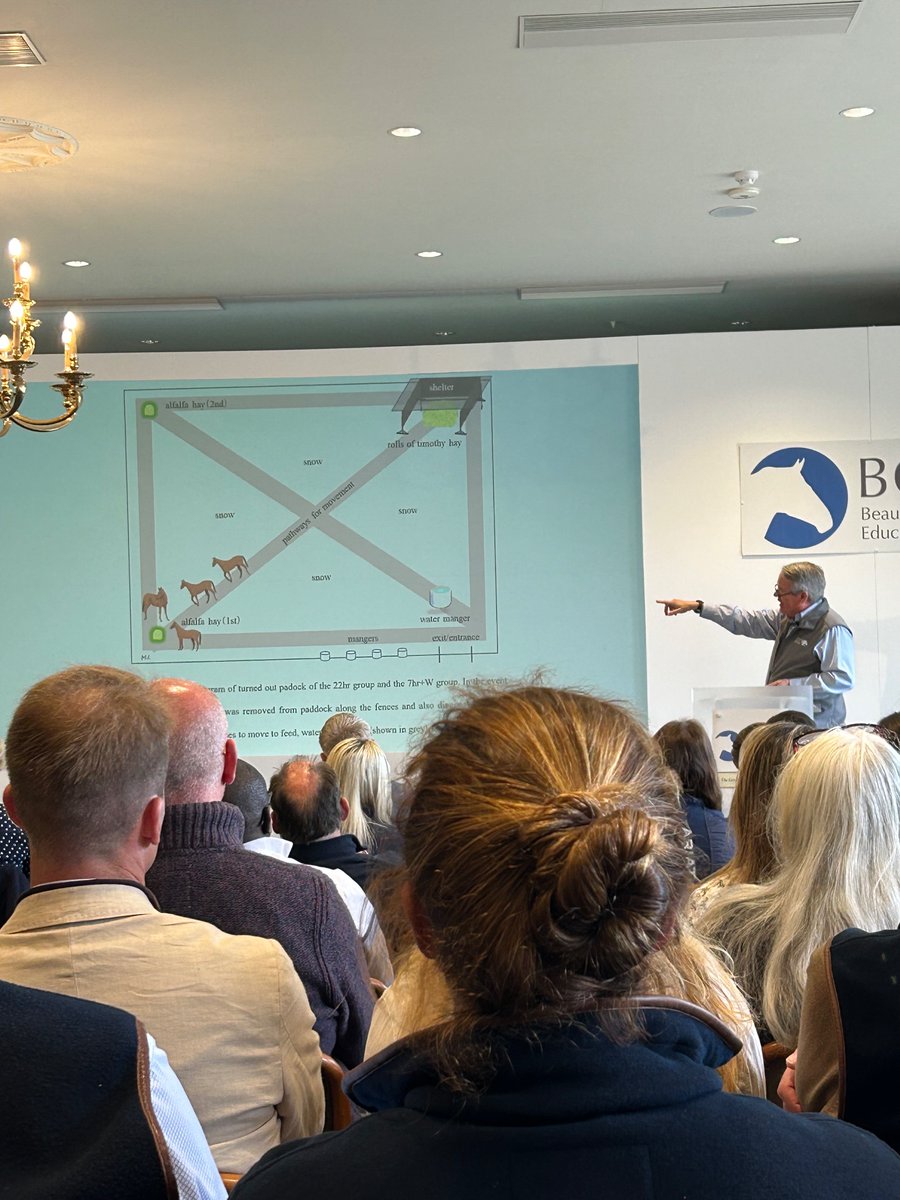 NSFA News and Updates - NSFA