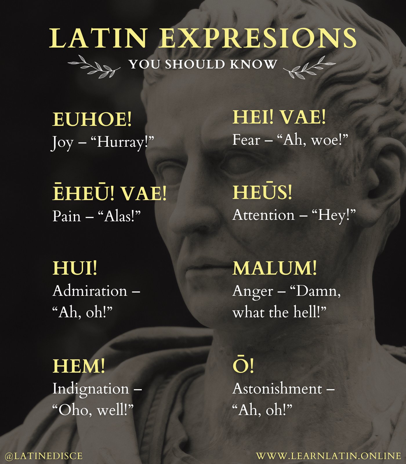 Anger Latin Quotes Wepa! The Meanings Of Signature Latin Phrases | The
