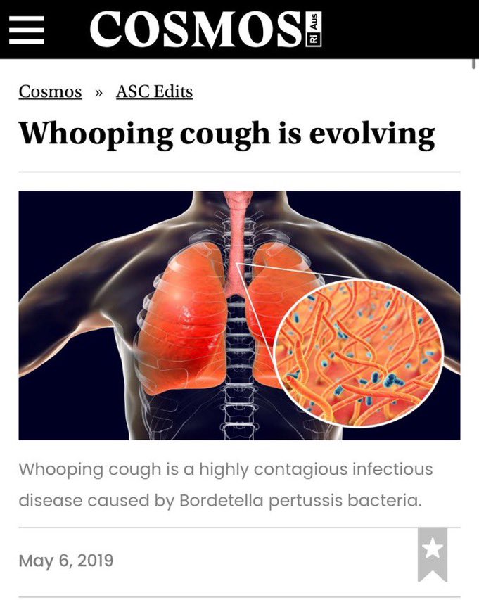 Laura Miers's Threads – Thread Reader App