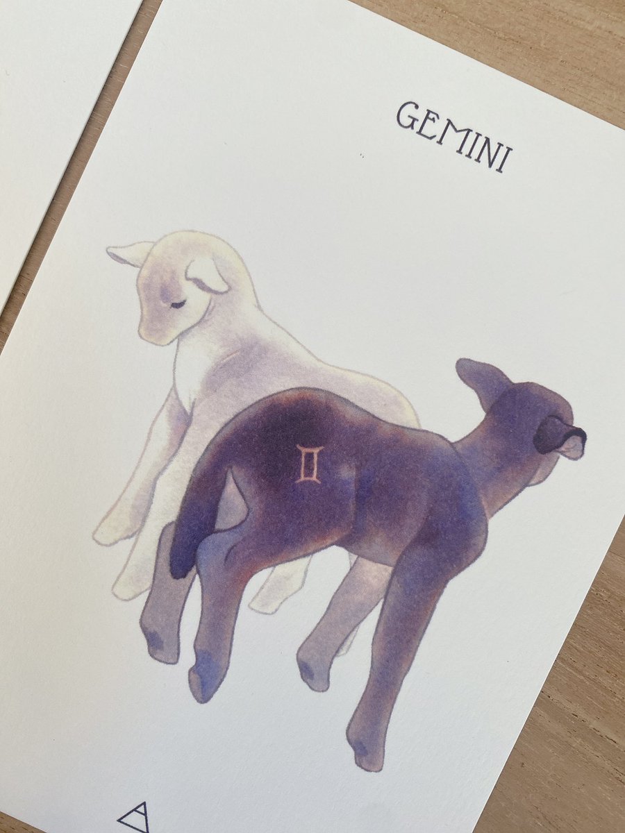 「Next zodiac signs (2/3) 」|Rozenn 🌻のイラスト
