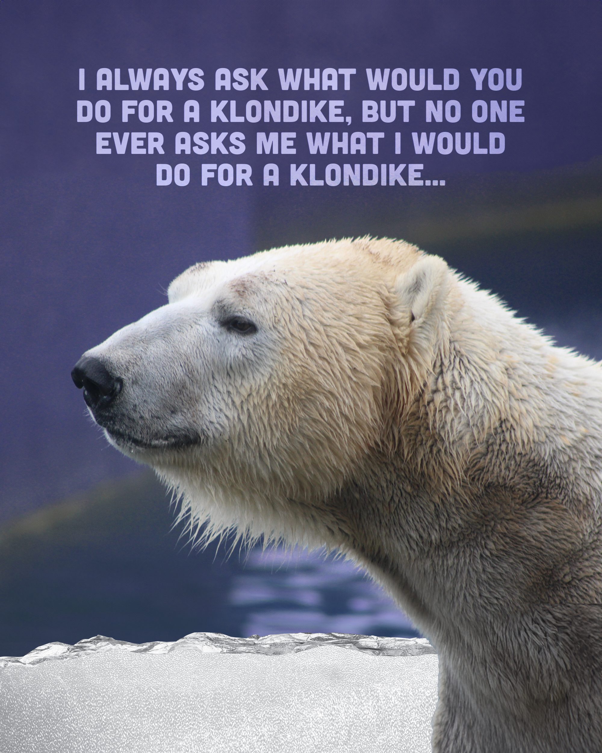 Polar Bear Quotes Fun Facts About Polar Bears Mama Teaches