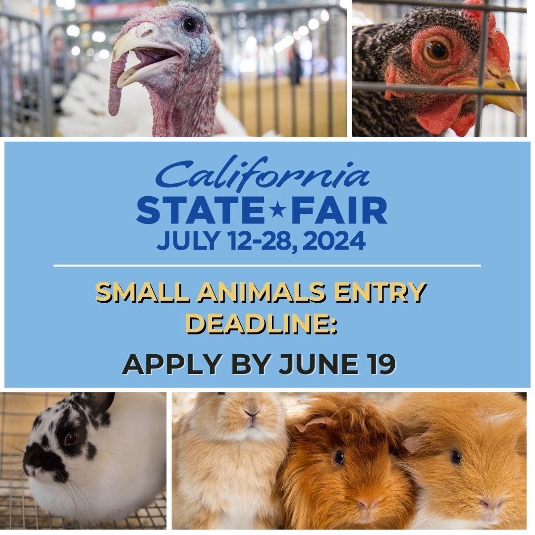 California State Fair Animals