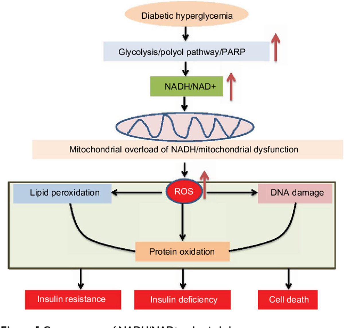 Scientists are beginning to realize the power of SUGAR and ASPIRIN for ...