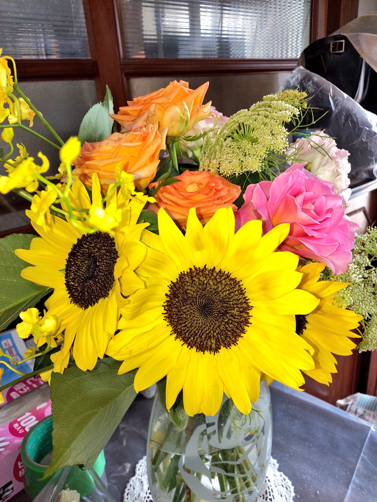 ♨️湯島 ちょこ♨️(@bittersweet_423) さんの裏垢画像・動画 – 裏垢女子ランキングナビ