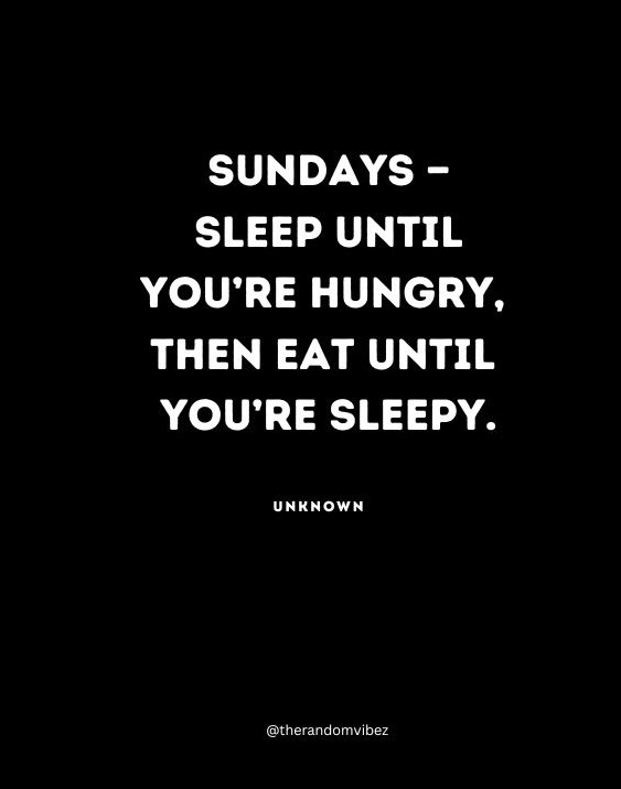 Hungry And Sleepy Quotes Quotes By Saniya Amirali