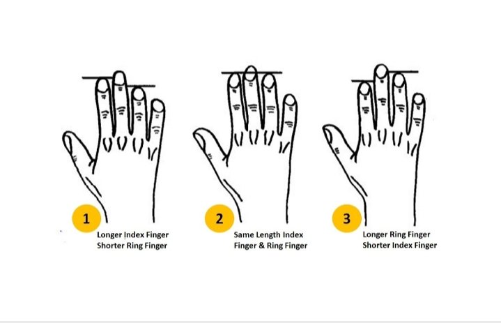 Ever looked at your hands and wondered if they reveal more than just ...