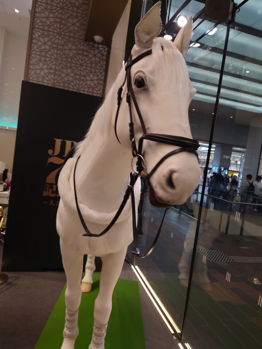 もっしー(エゾモモンガ)(@yoshi_mk_mzk) - Twilog (ツイログ)