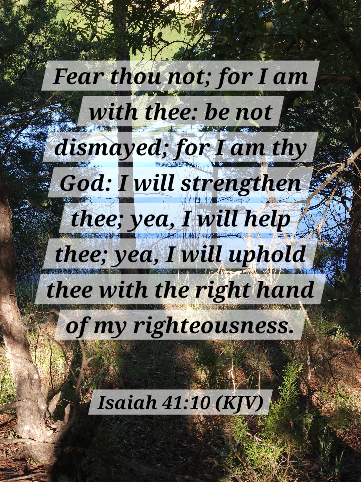 Isaiah 41 10 Kjv Isaiah 41:10 KJV" Pin For Sale By IBMClothing