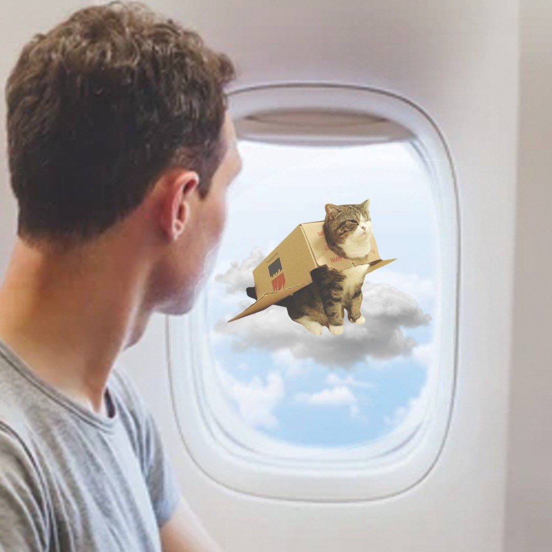 Airplane Meme
