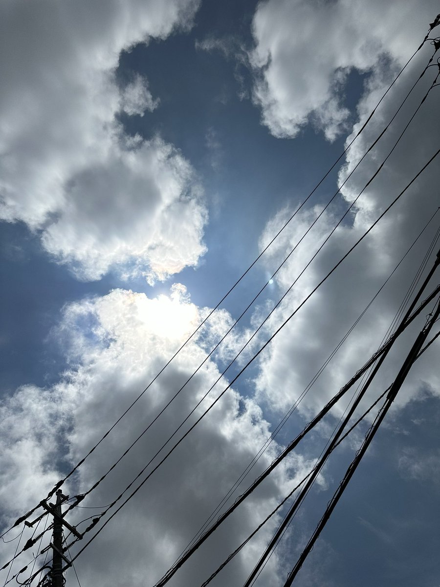 「いい天気なりかけ 」|せーのイラスト