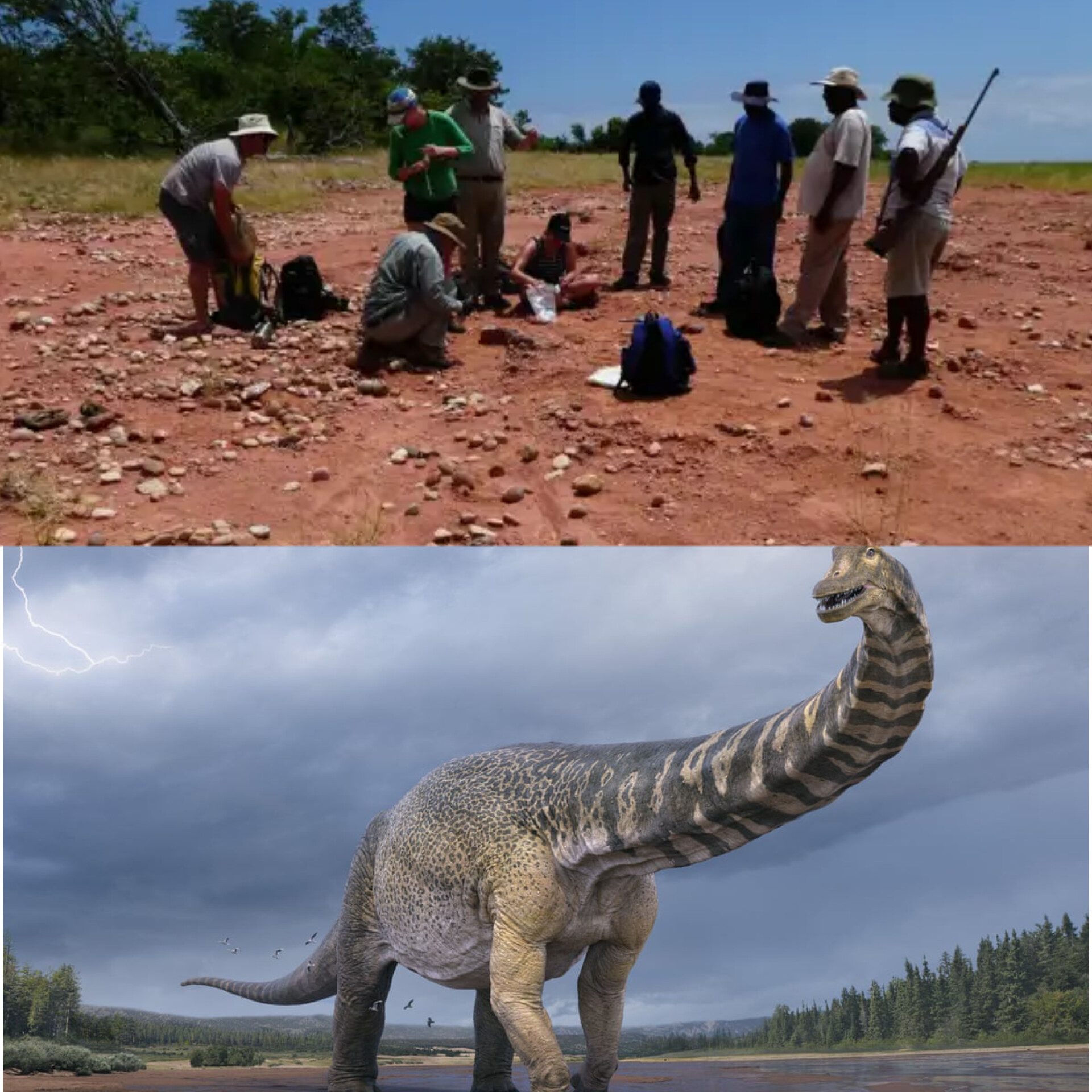 Dinosaur Sightings 2014 Was Spinosaurus An Underwater Killer Or A