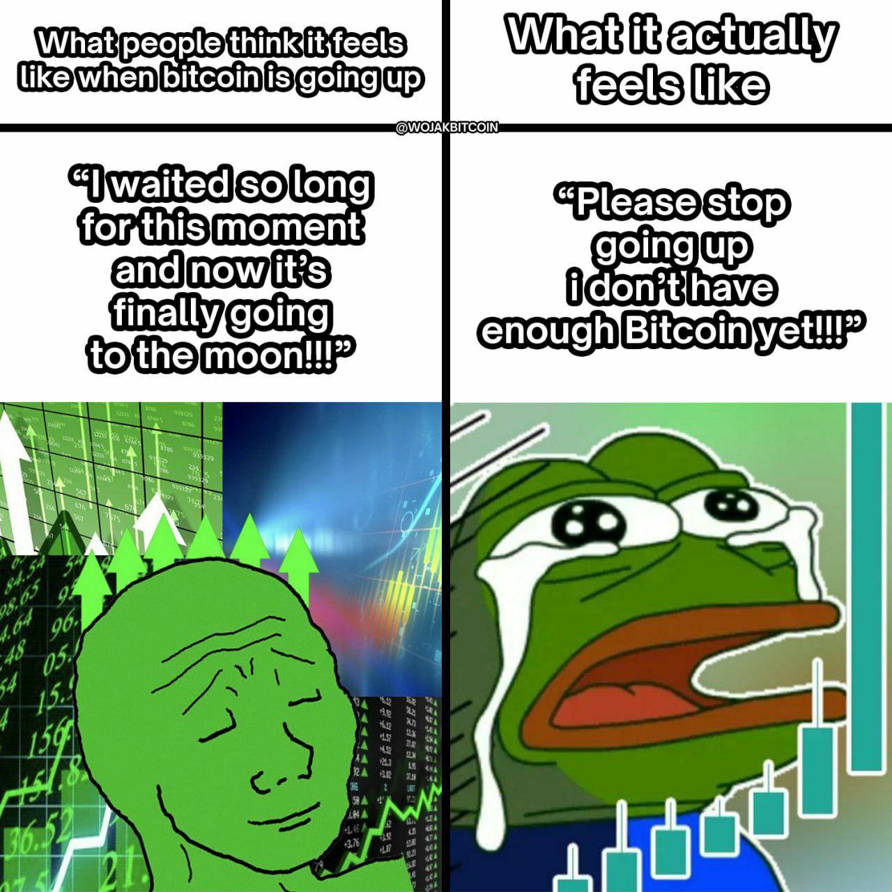 Enough Pepe Memes