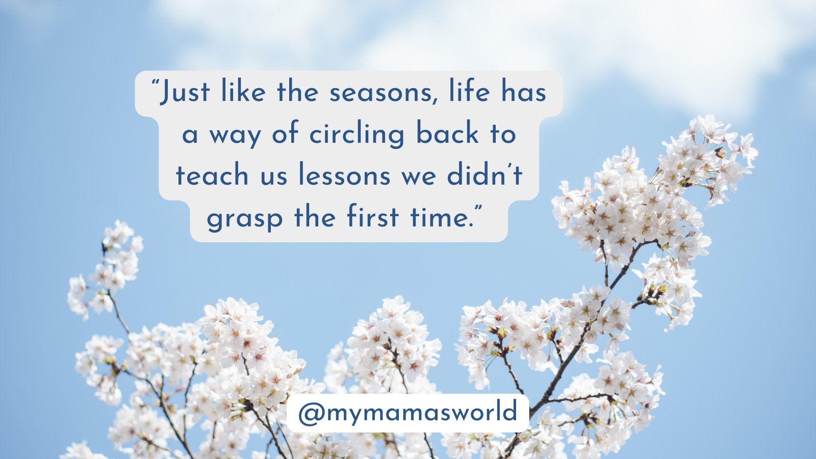 Grasp Life Quotes 50 Quotes About Happiness That Will Brighten Your