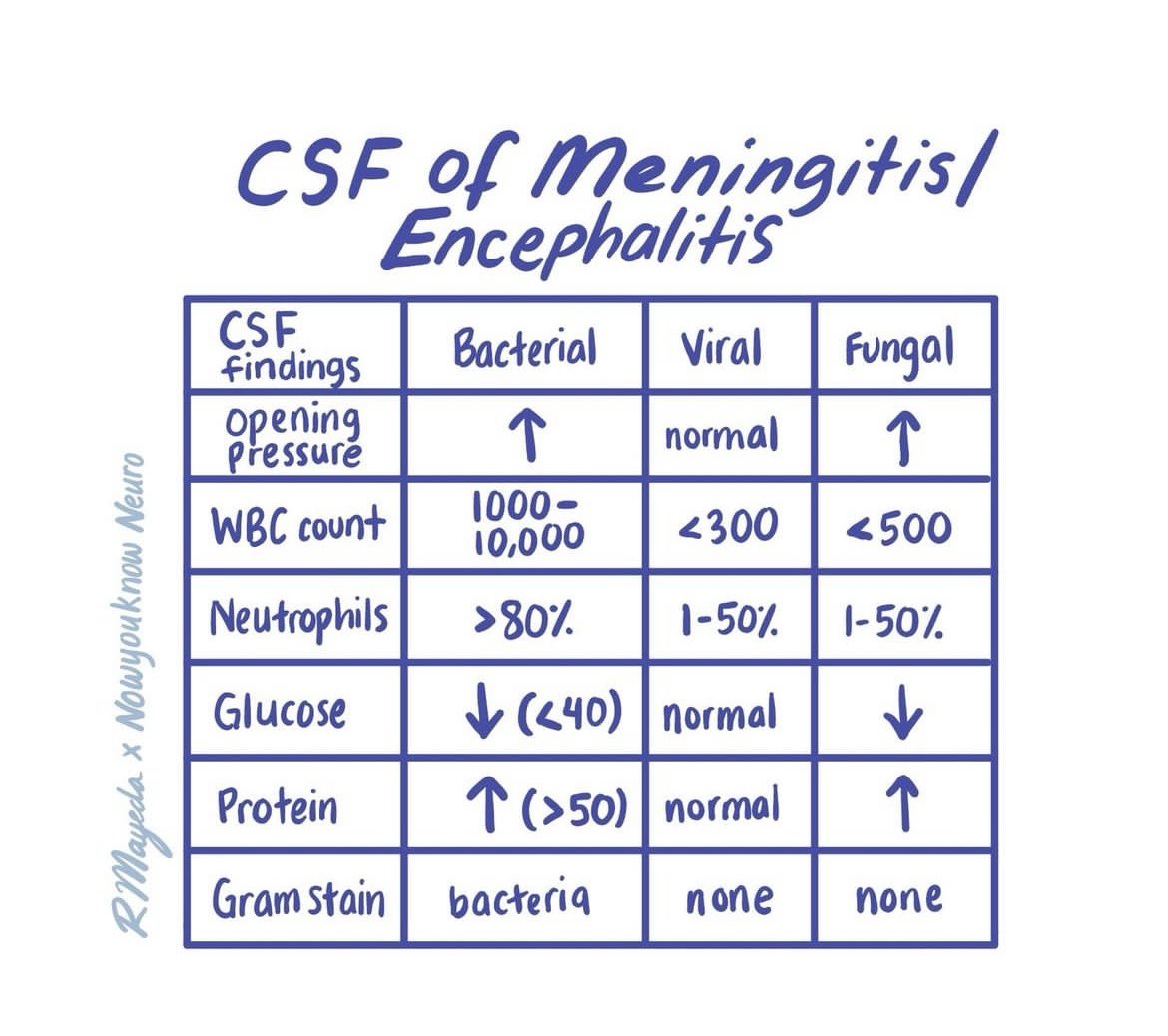 Fungal Meningitis Csf LECTURE: Microbiology Of Acute Pyogenic