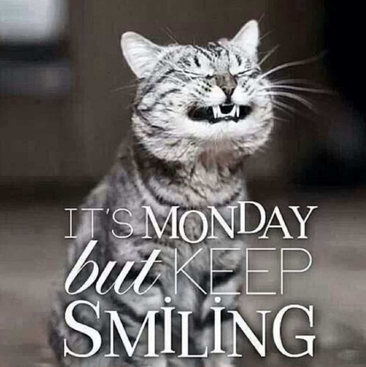 Have A Great Week Funny